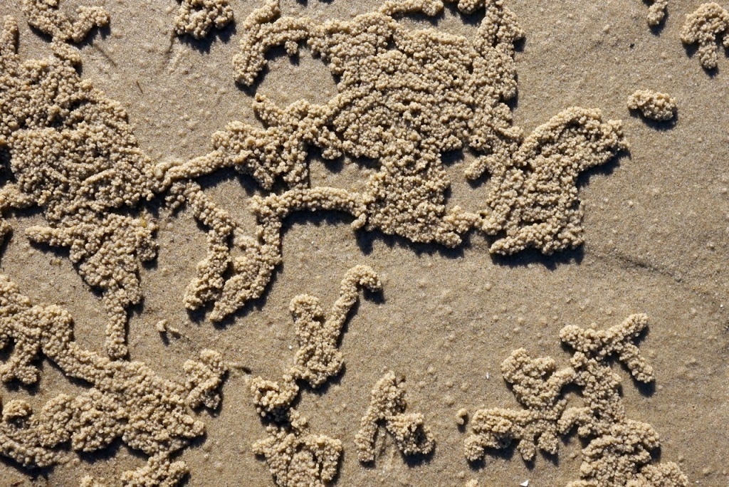 A wanderer's guide to Iluka - Milkwood: permaculture courses, skills ...