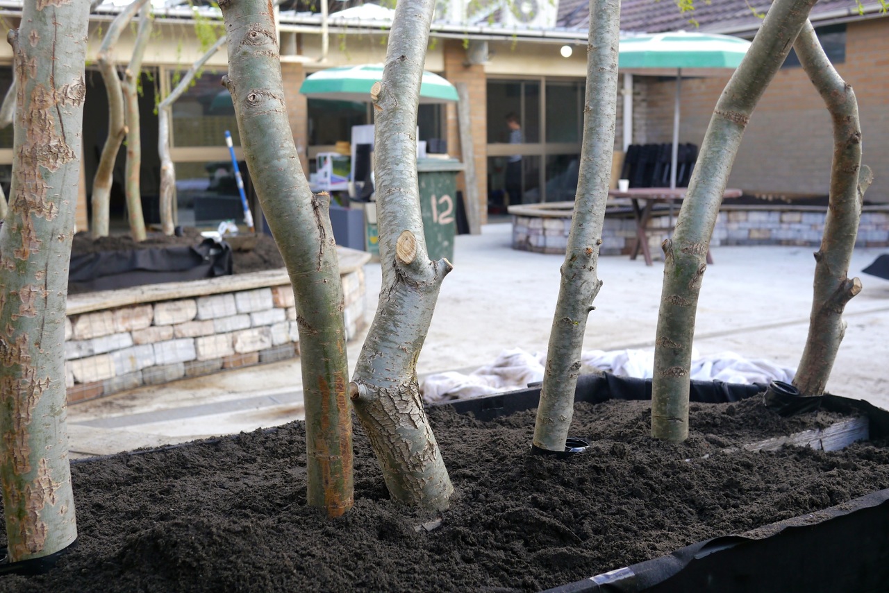 Getting that Soil Up Top - Milkwood: permaculture courses, skills + stories