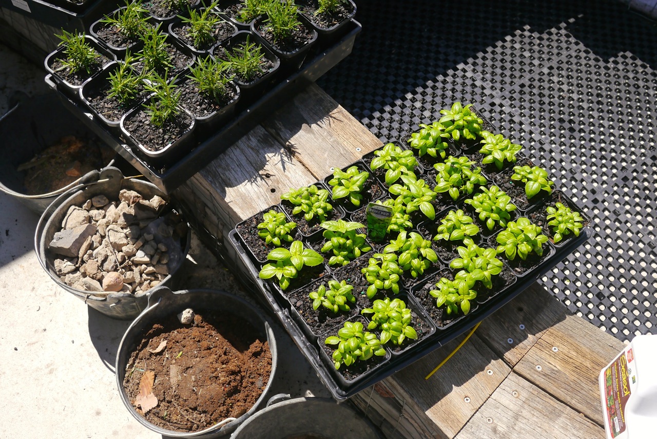 Getting that Soil Up Top - Milkwood: permaculture courses, skills + stories
