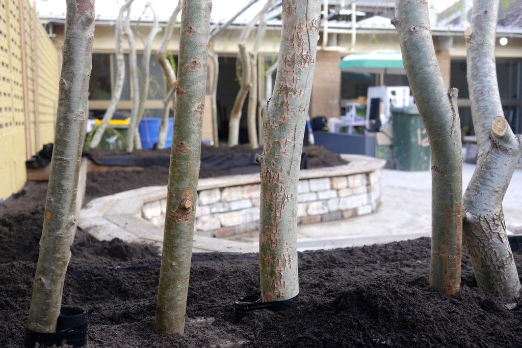 Getting that Soil Up Top - Milkwood: permaculture courses, skills + stories