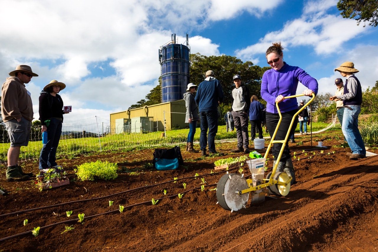 Photos: Our Spring Intro to Market Gardening course - Milkwood ... Photos: Our Spring Intro to Market Gardening course - Milkwood ...