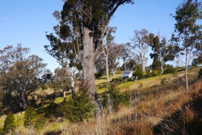 Visiting: Autumn Farm, Bega - Milkwood: permaculture courses, skills ...