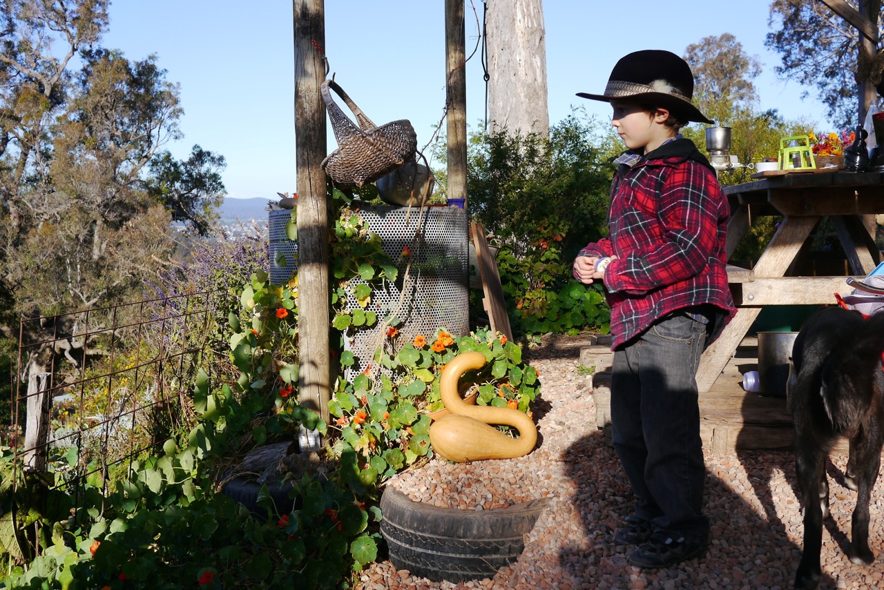 Golden autumn farm instructions to plant there seeds - diagar