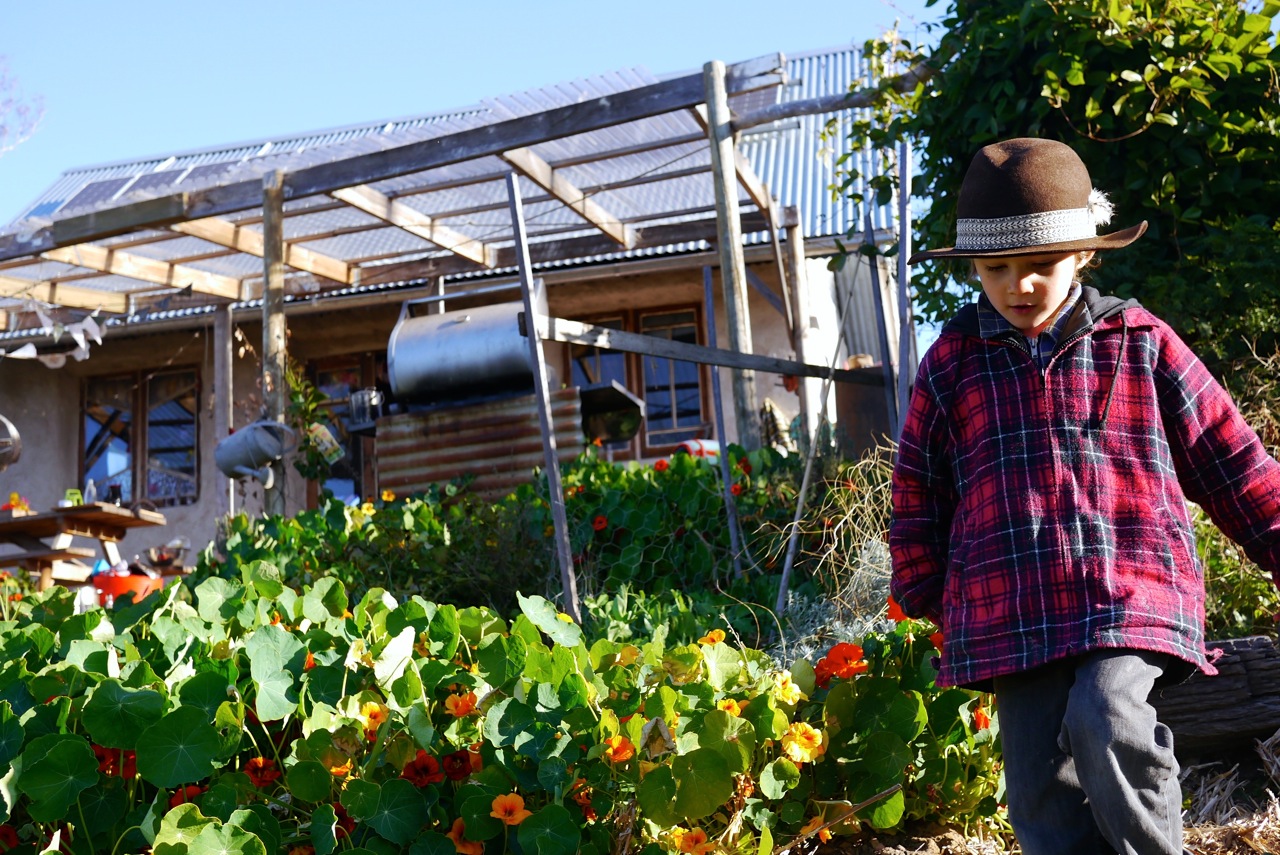 Visiting: Autumn Farm, Bega - Milkwood: permaculture courses, skills ...