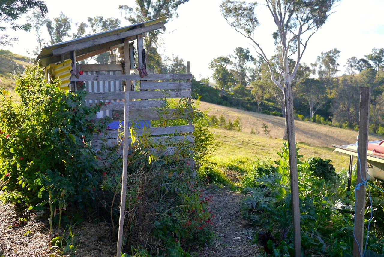 Visiting: Autumn Farm, Bega - Milkwood: permaculture courses, skills ...