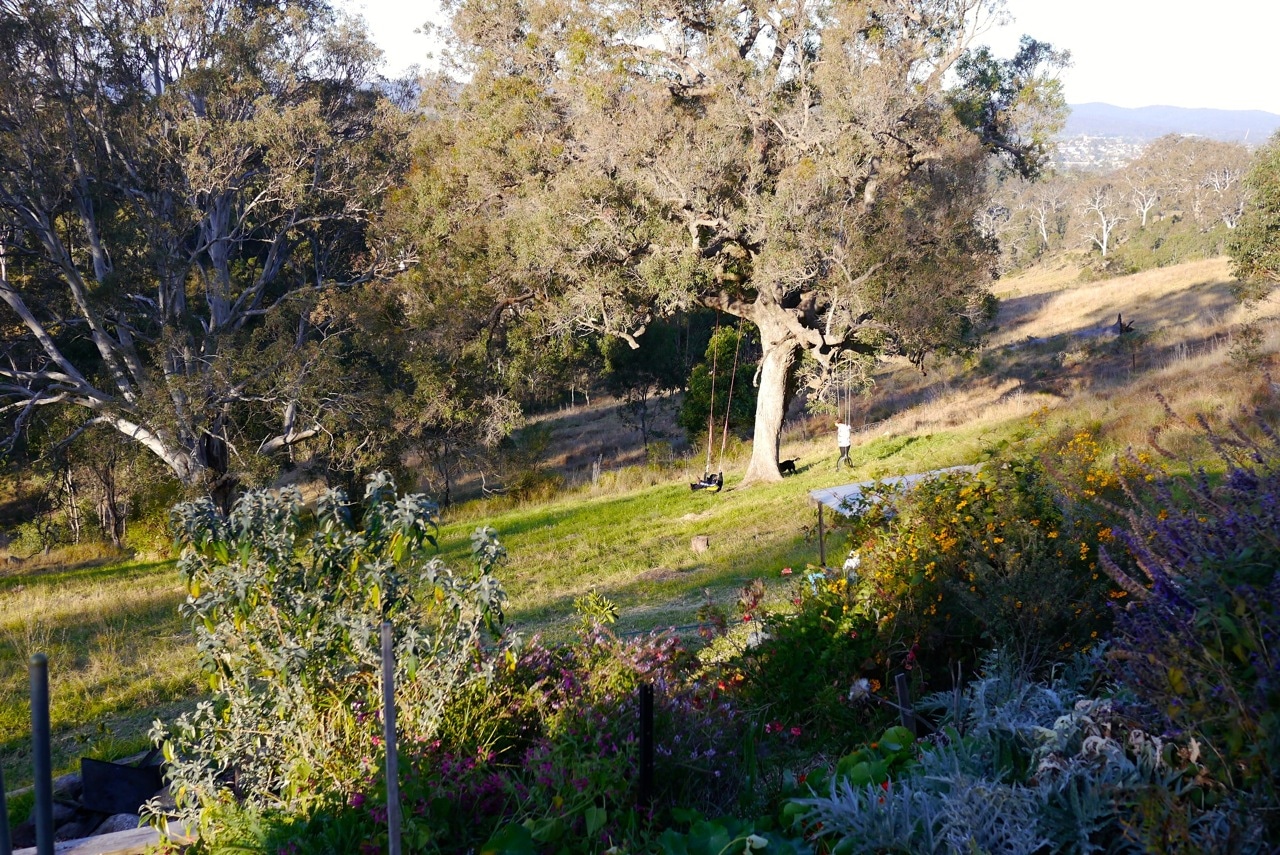 Visiting: Autumn Farm, Bega - Milkwood: permaculture courses, skills ...