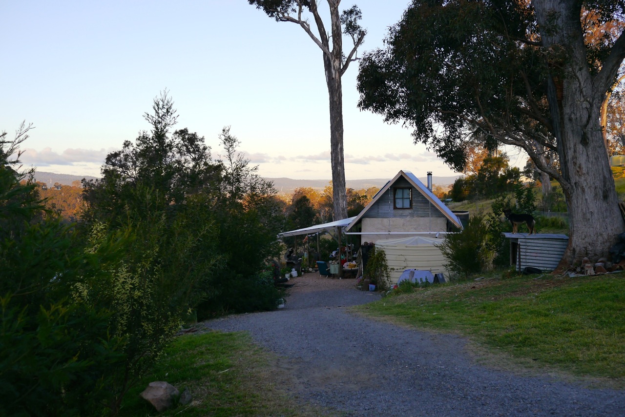 Visiting: Autumn Farm, Bega - Milkwood: permaculture courses, skills ...