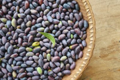 Curing Olives: Basic Brine + Salt Methods - Milkwood