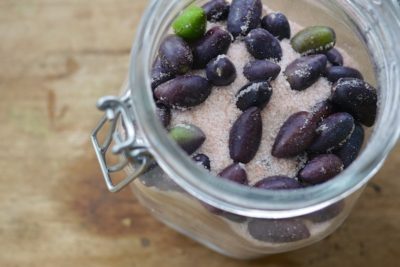 Curing Olives: Basic Brine + Salt Methods - Milkwood