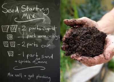 How to Make the Best-Ever Seed Raising Mix - Milkwood