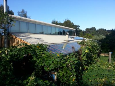 Design Basics: Mapping the Sun on your Site