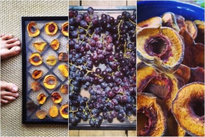 Home Time Travel Techniques: DIY Dried Fruit