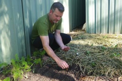 Preparing a new Garden Bed with Double Digging