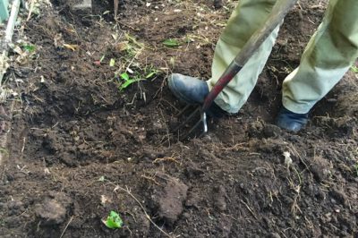 Preparing a new Garden Bed with Double Digging