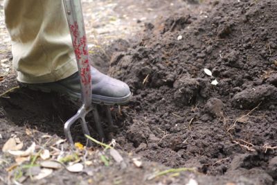 Preparing a new Garden Bed with Double Digging