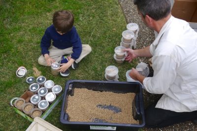 How to make mushroom grain spawn at home