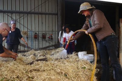 Starting out the Biointensive Beds at Buena Vista Farm