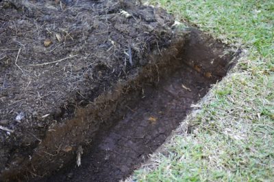 Grow Food Not Lawns: Completing our Garden Beds