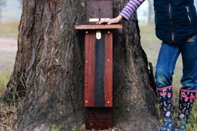 How to Build a Microbat Box