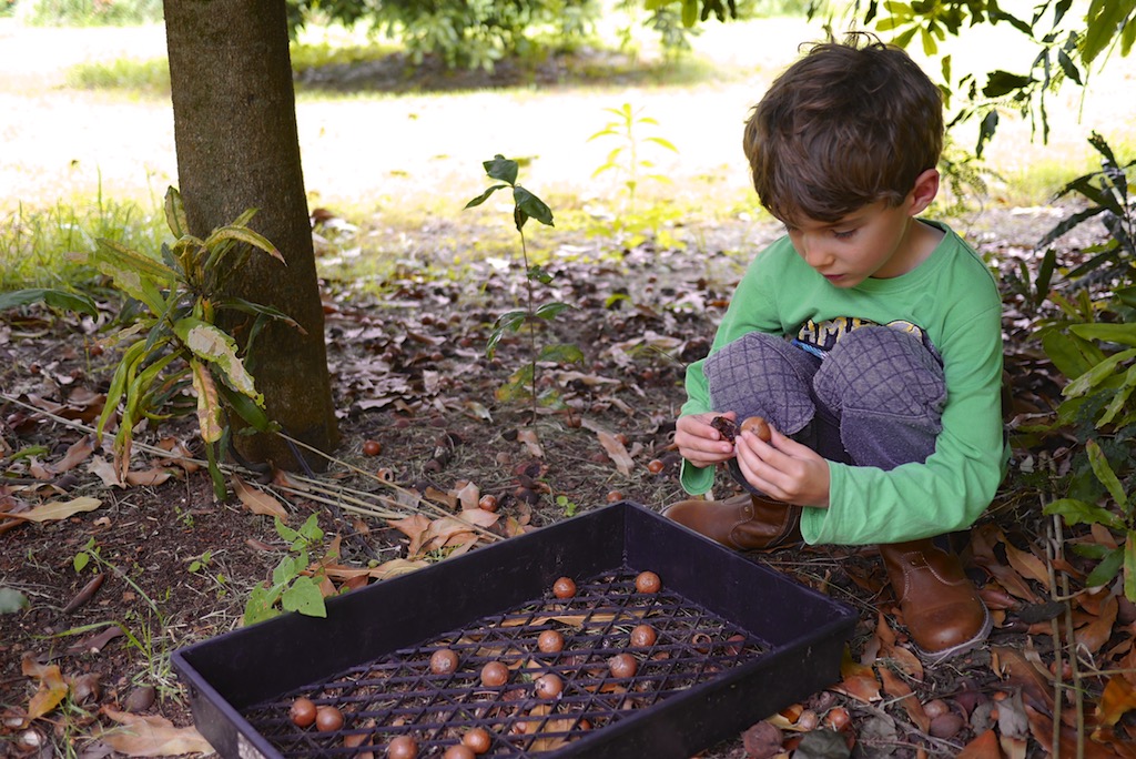 Gleaning as Community Support + Strategy