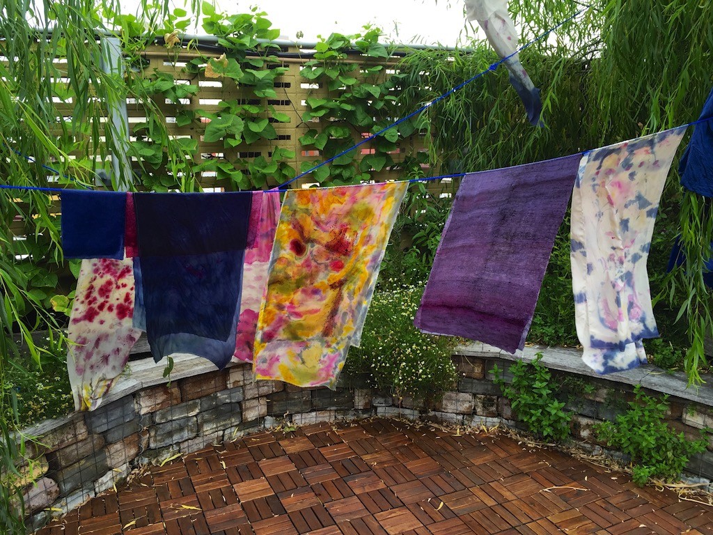 Plants as Paintbox - Natural Dyeing basics - Milkwood: permaculture ...