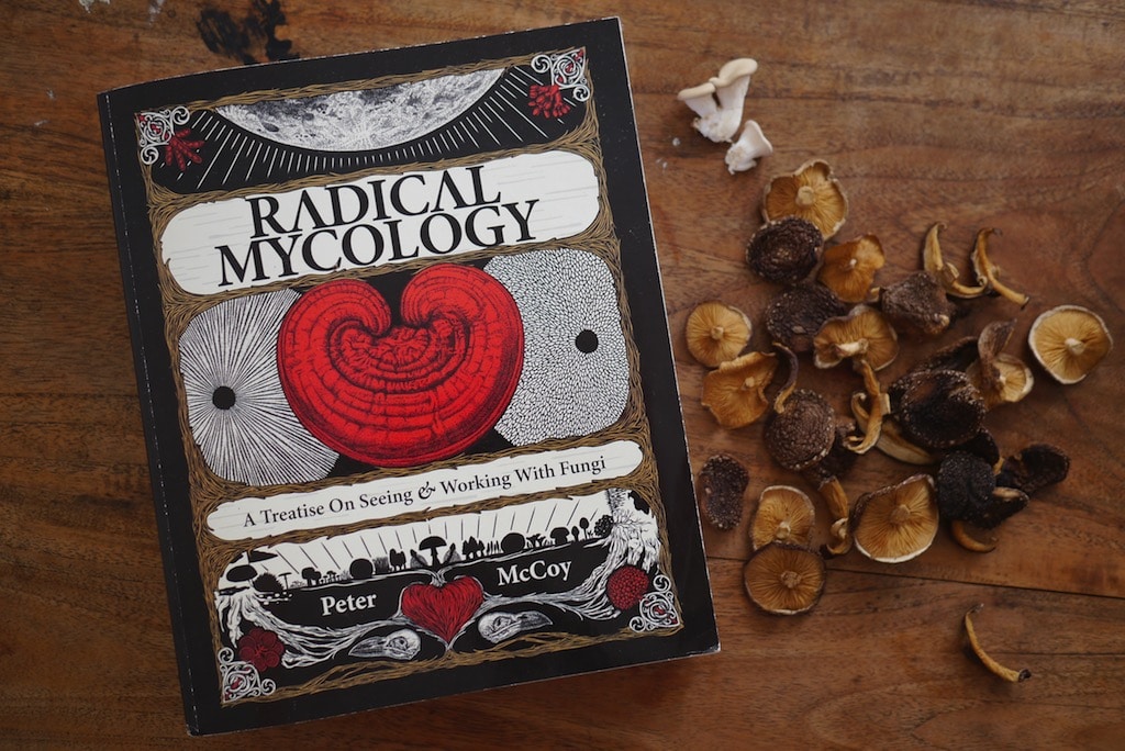 Radical Mycology by Peter McCoy - Milkwood: permaculture courses ...