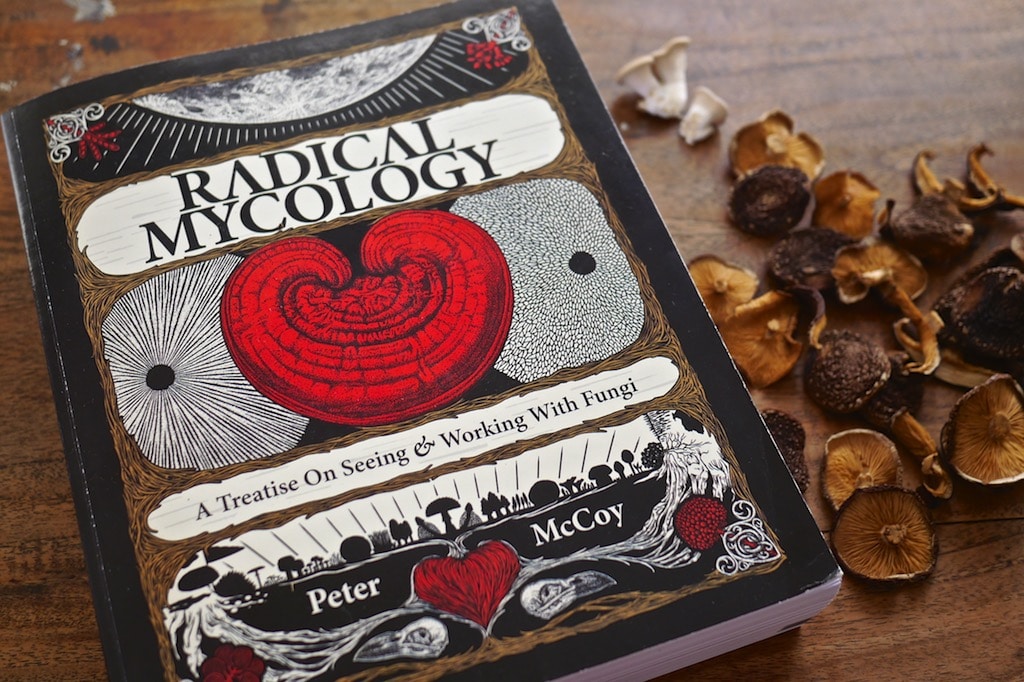 Radical Mycology by Peter McCoy - Milkwood: permaculture courses ...