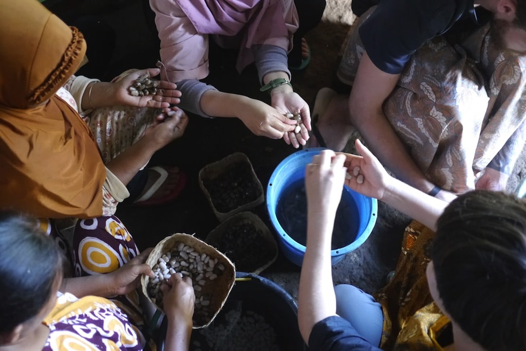 Making Tempeh - as food, and village revitalisation - Milkwood ...