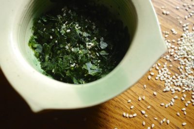 Foraging + Eating Sea Lettuce: Ulva Lactuca