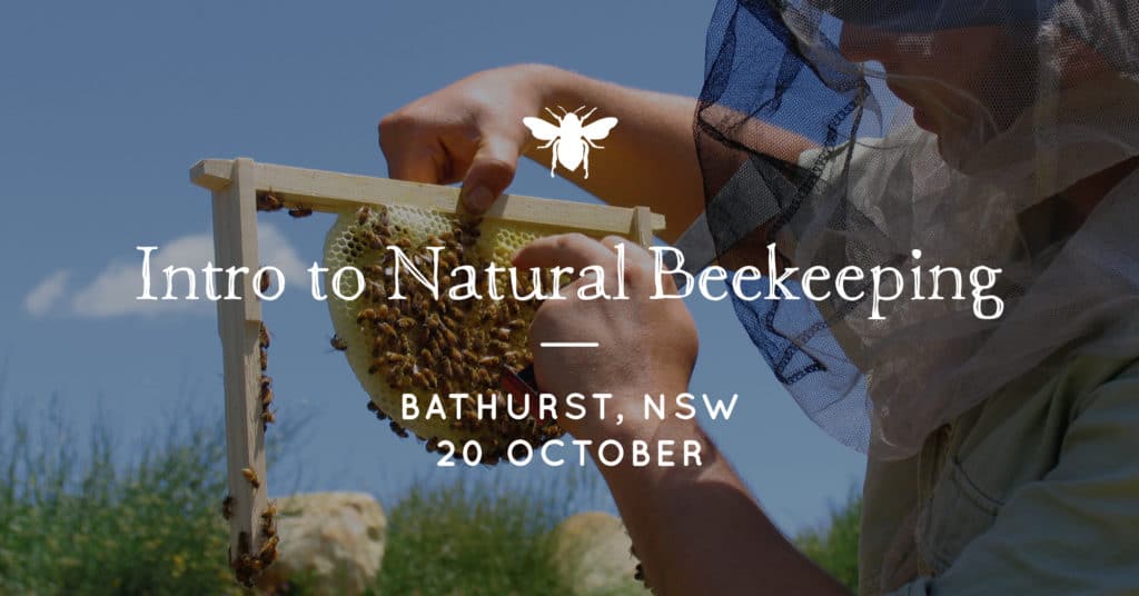 Natural Beekeeping: a Principles Based Approach - Milkwood