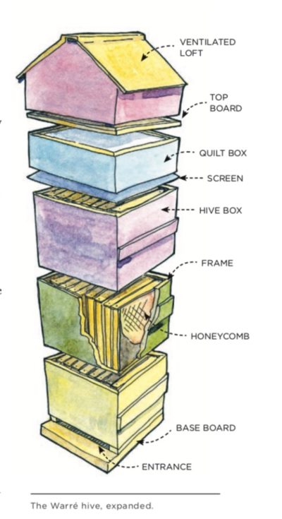 Natural Beekeeping: a Principles Based Approach - Milkwood