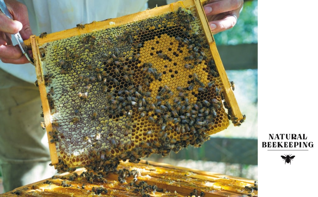 Natural Beekeeping: a Principles Based Approach - Milkwood