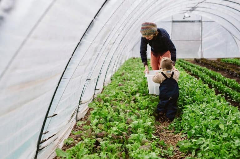 5 Things every Future Farmer needs to know - with Olivier Sofo of ...