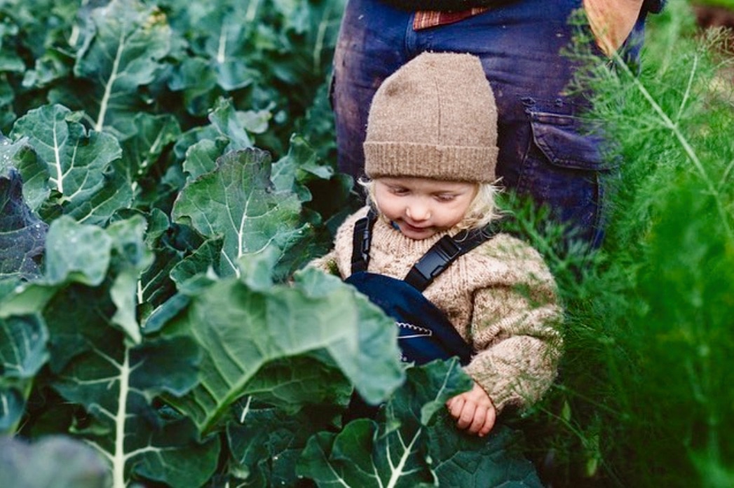 5 Things every Future Farmer needs to know - with Olivier Sofo of ...