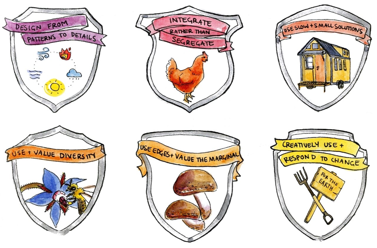 Video: Digging into the 12 Permaculture Principles - Permaculture ...