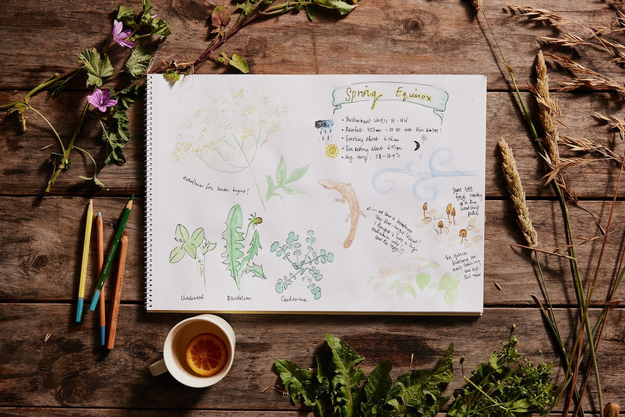 Starting a Garden or Nature Diary - Milkwood