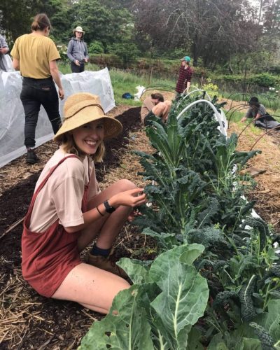 Farm It Forward: connecting young farmers with donated land - Milkwood
