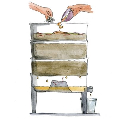 Video: The Beginner’s Guide to Worm Farms - Milkwood: permaculture ...