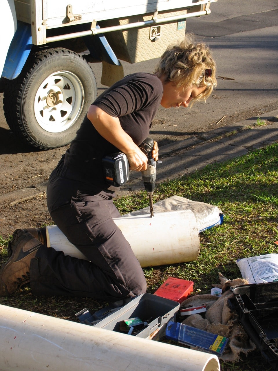 Video: The Beginner’s Guide to Worm Farms - Milkwood: permaculture ...