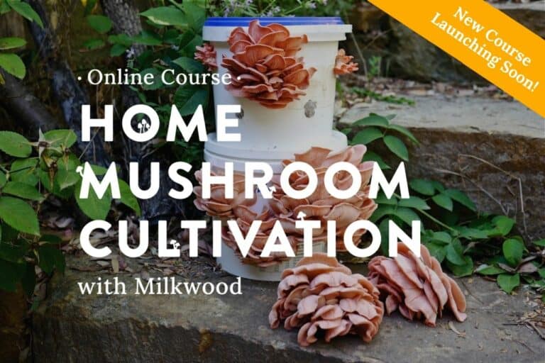 Upcoming Courses - Milkwood: permaculture courses, skills + stories