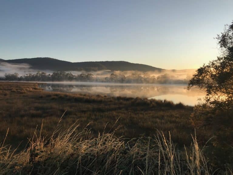 Our Backyard Permaculture Design for Quoll Hollow