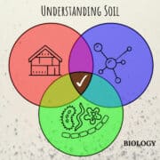 How To Build Healthy Soil for Your Best-Ever Veggies - Milkwood