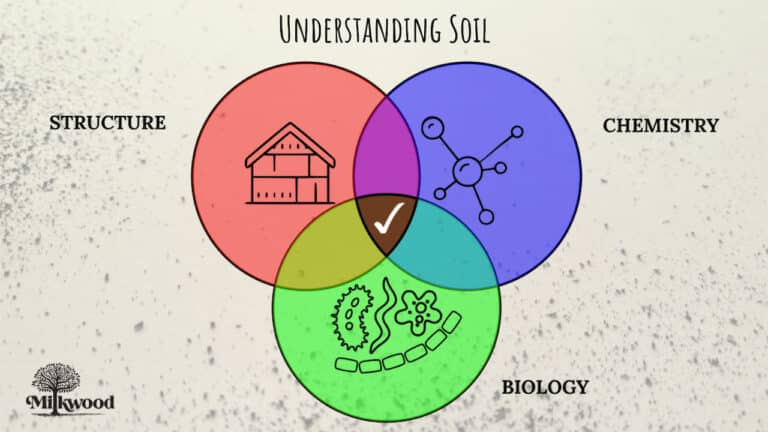 How To Build Healthy Soil for Your Best-Ever Veggies - Milkwood