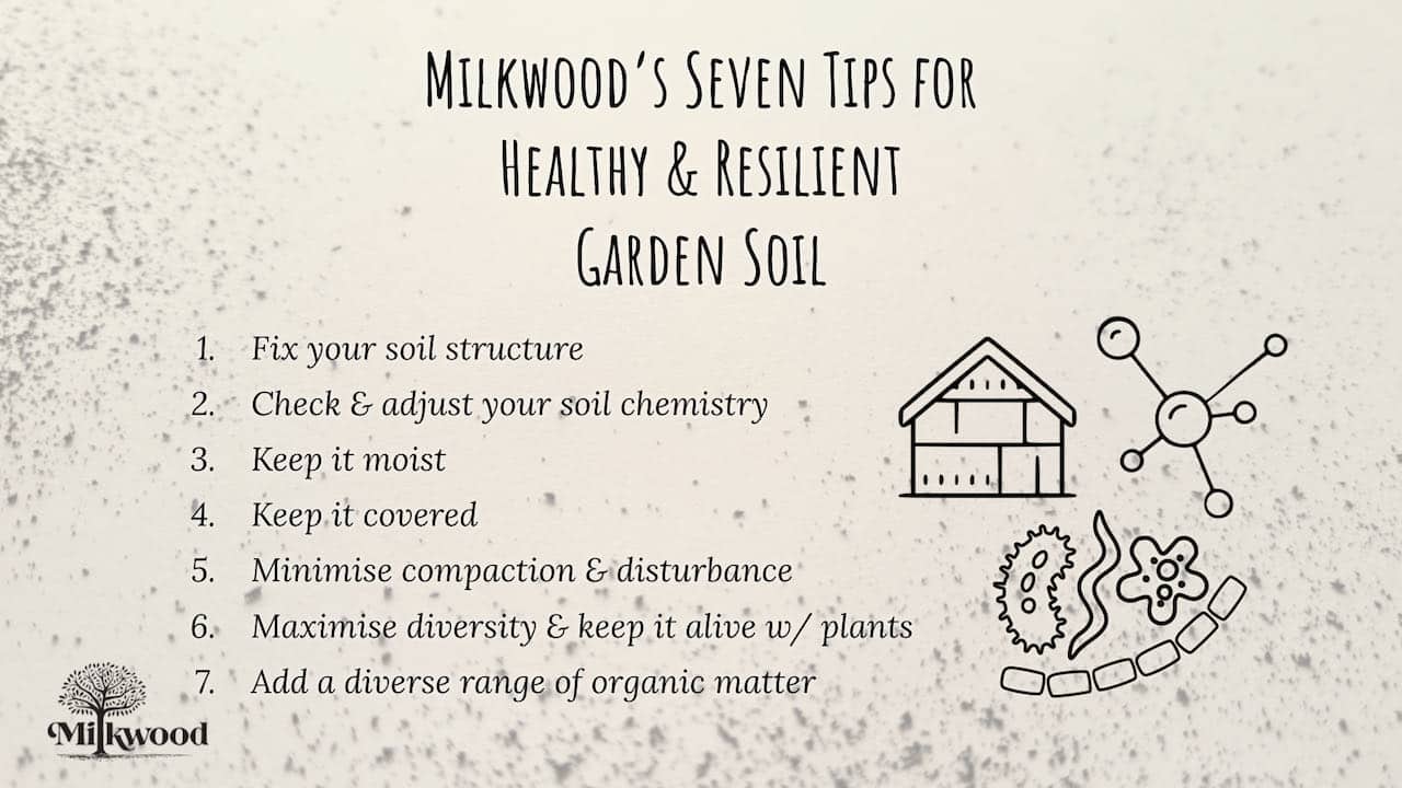 How To Build Healthy Soil for Your Best-Ever Veggies - Milkwood