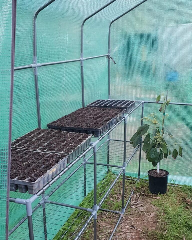 How to Make the Best-Ever Seed Raising Mix - Milkwood