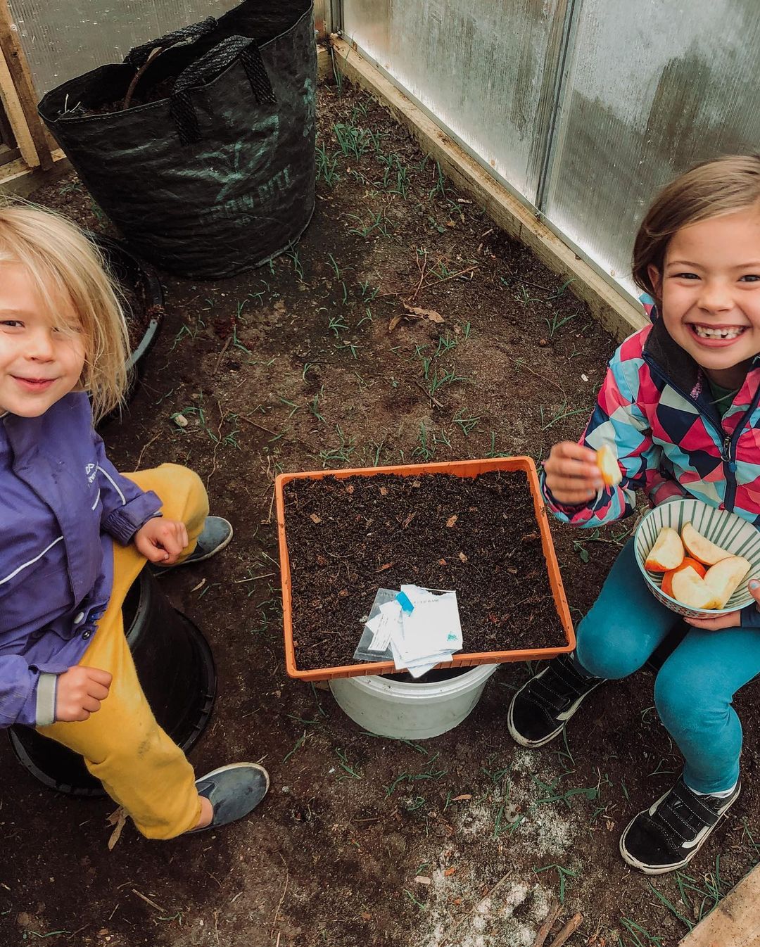 How to Make the Best-Ever Seed Raising Mix - Milkwood