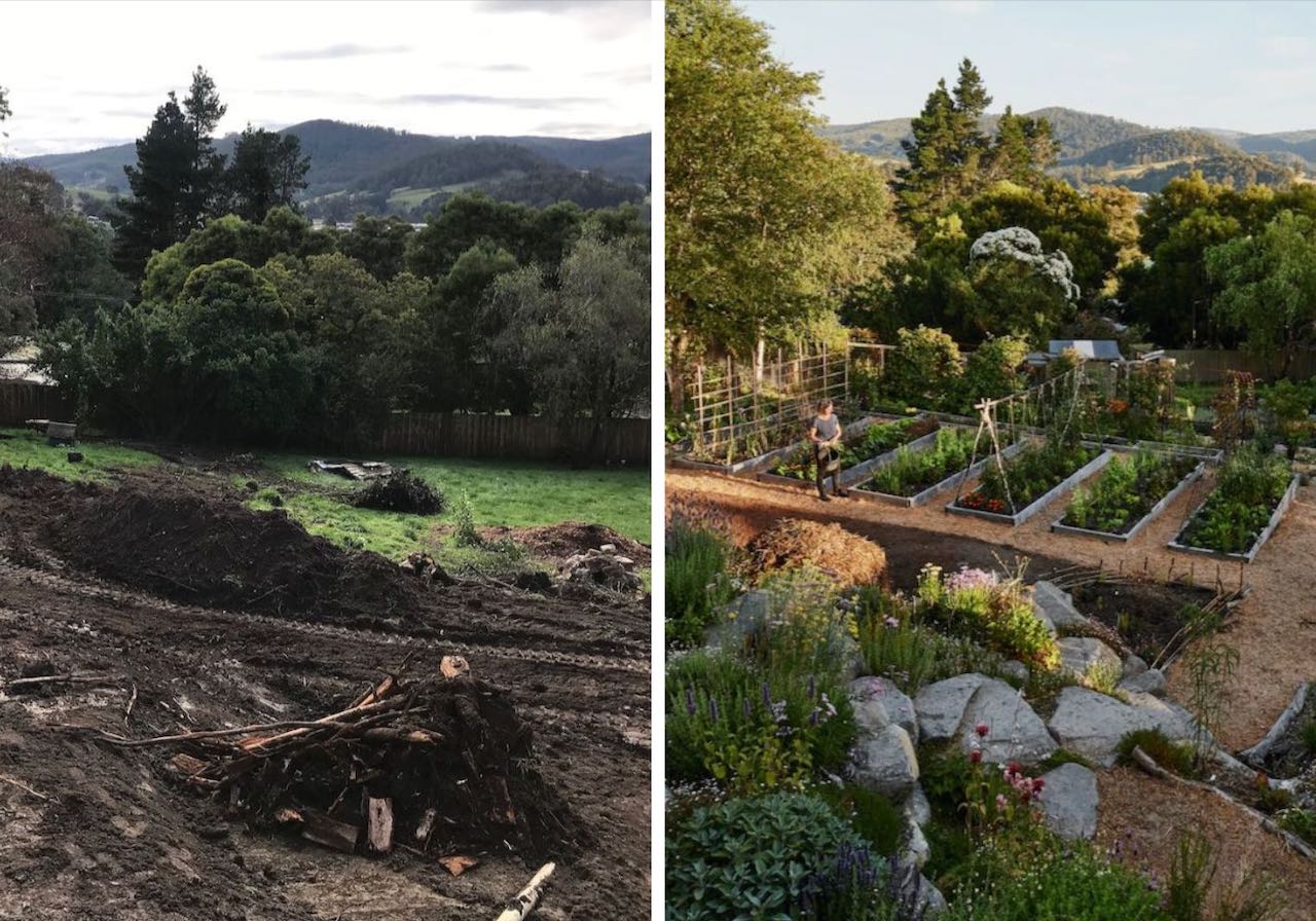 Garden Dreaming - The First Year of our New Garden - Milkwood
