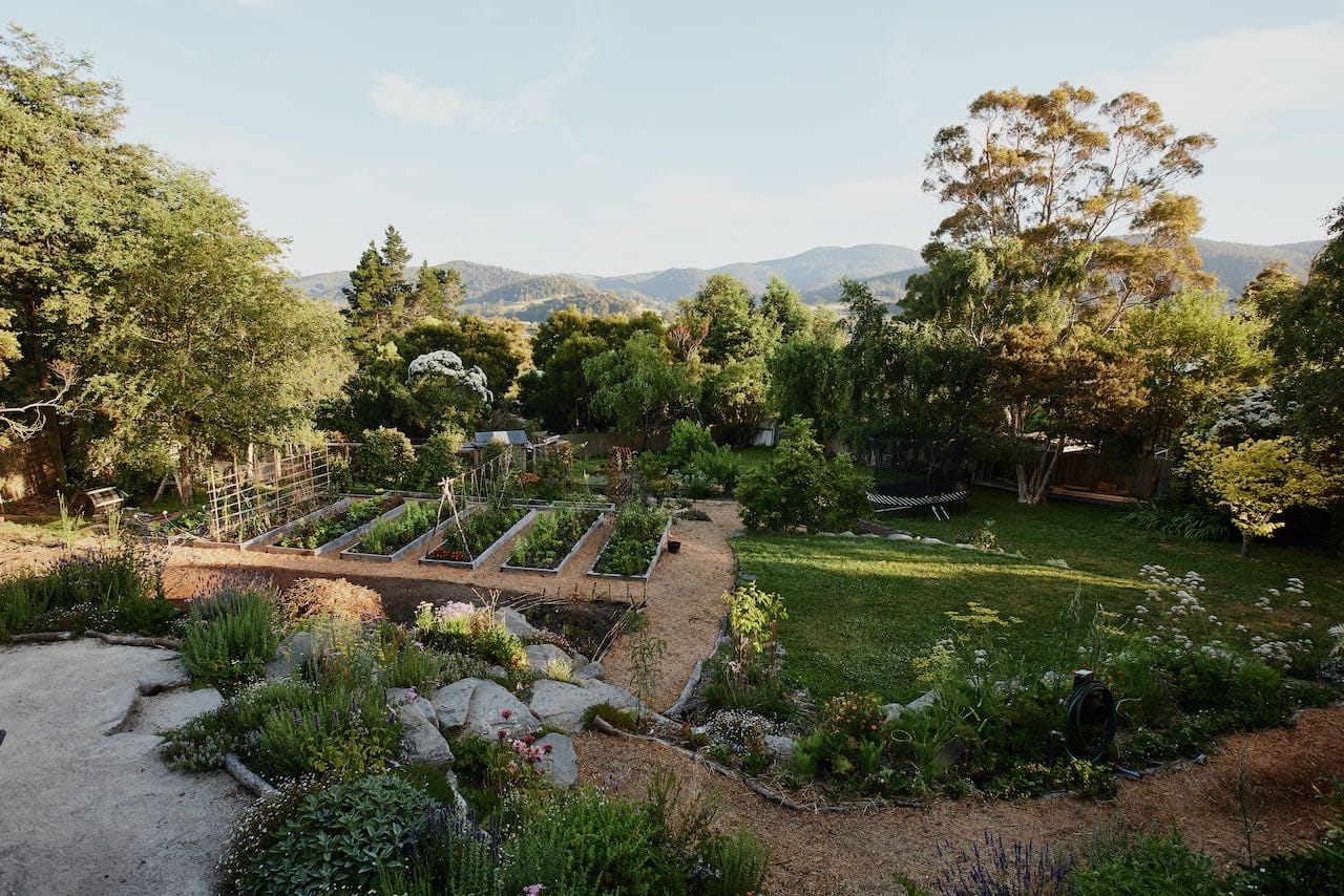 Garden Dreaming - The First Year of our New Garden - Milkwood